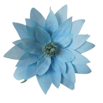 Dalia azul Claro – Nature Forever Distribuidor
